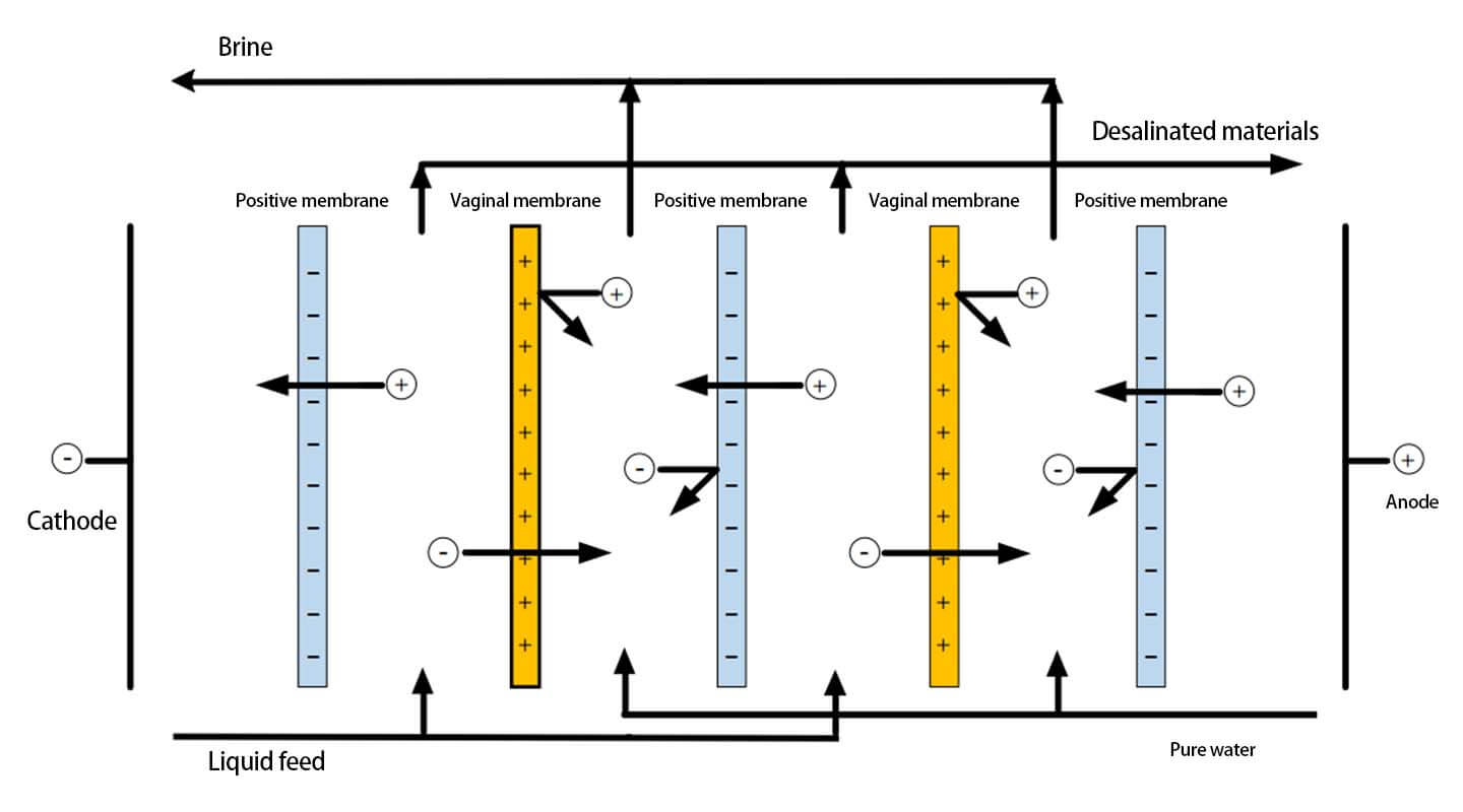 Removal of tartaric acid from wine